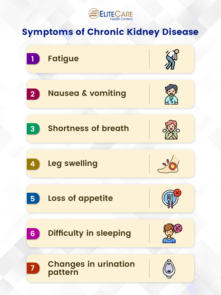 7 Ways to Prevent Chronic Kidney Disease in Seniors | EliteCare HC