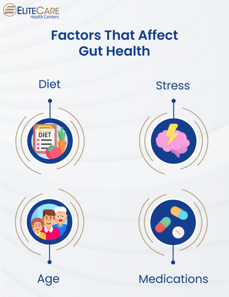 6 Simple Ways to Improve Gut Health in Seniors | EliteCare HC